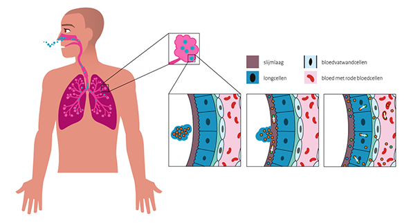 Wat is Chroom-6? | RIVM